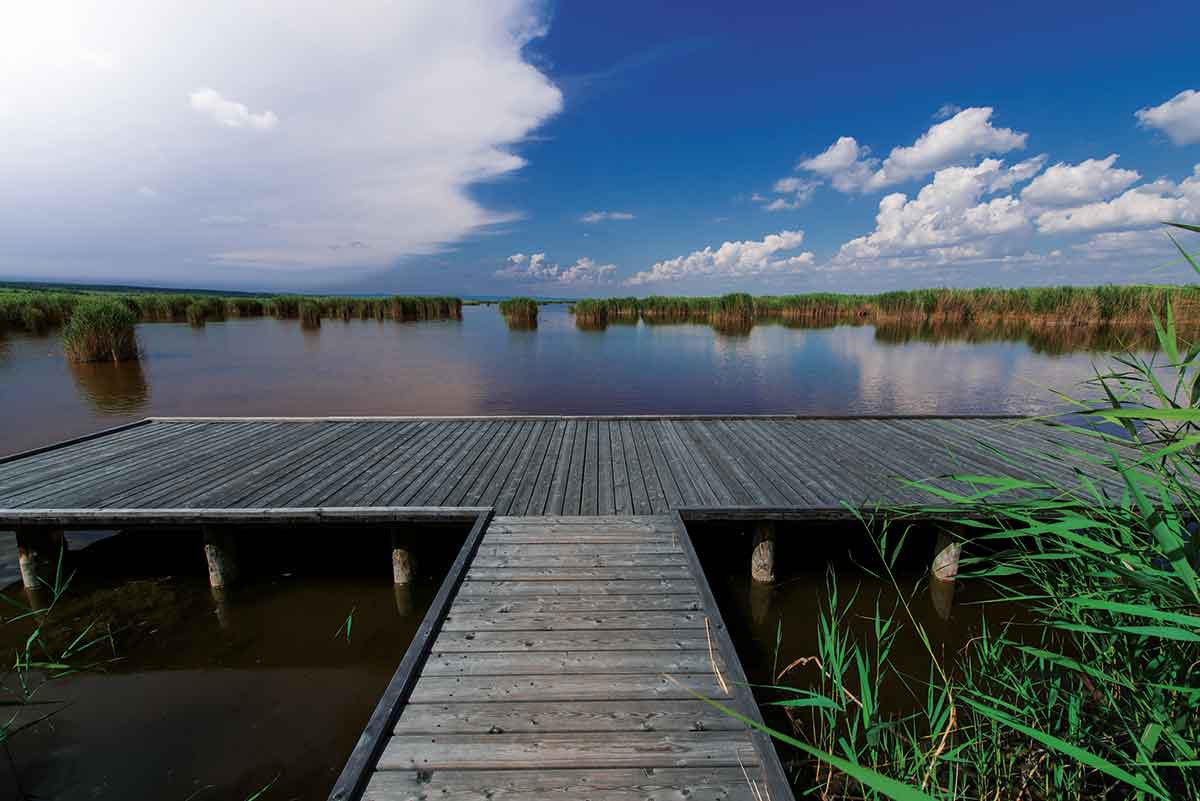 home - Mörbisch am See